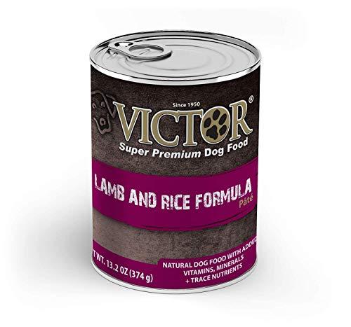 Top 10 Best Victor Brand Dog Foods: A Guide to Premium Kibble for Your ...
