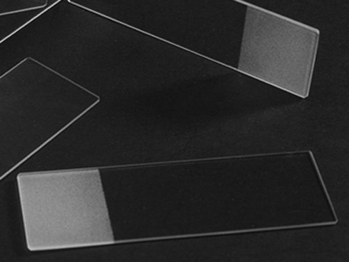 Beveled single frosted slides, one end, one side [ 1 Gross]: Microscope ...