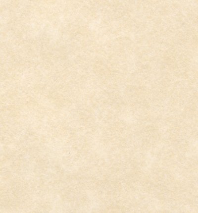 Amazon.com : Parchment Paper Specialty Cardstock, 8.5 X 11 Inches ...