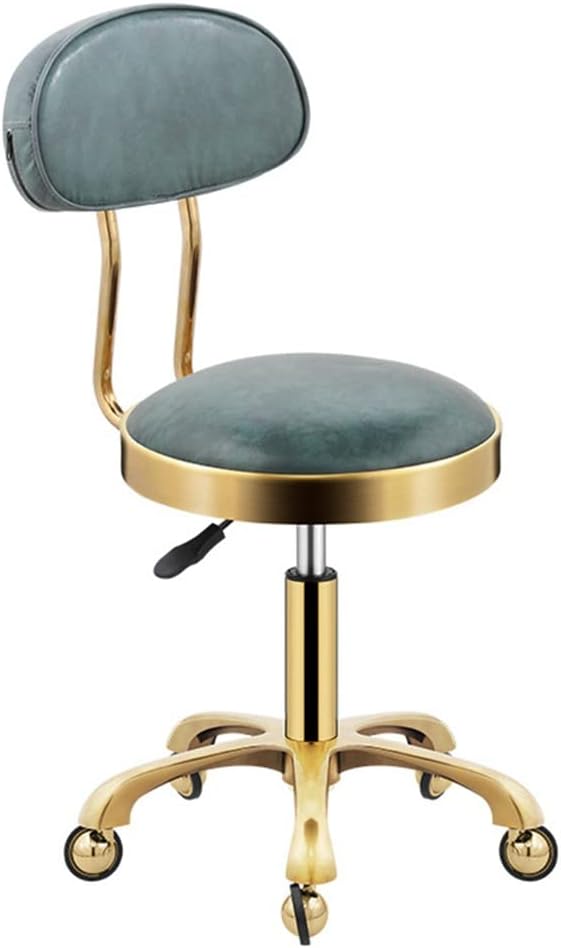 Amazon.com: Hydraulic Adjustable Rolling Stool with Back Rest - Heavy ...