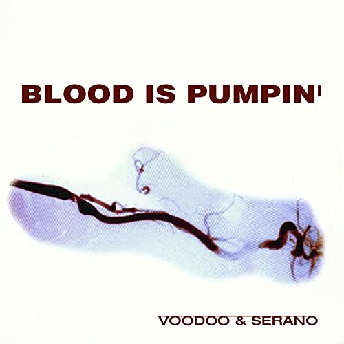 Blood Is Pumping (Extended Mix) song by VooDoo & Serano from Blood Is ...