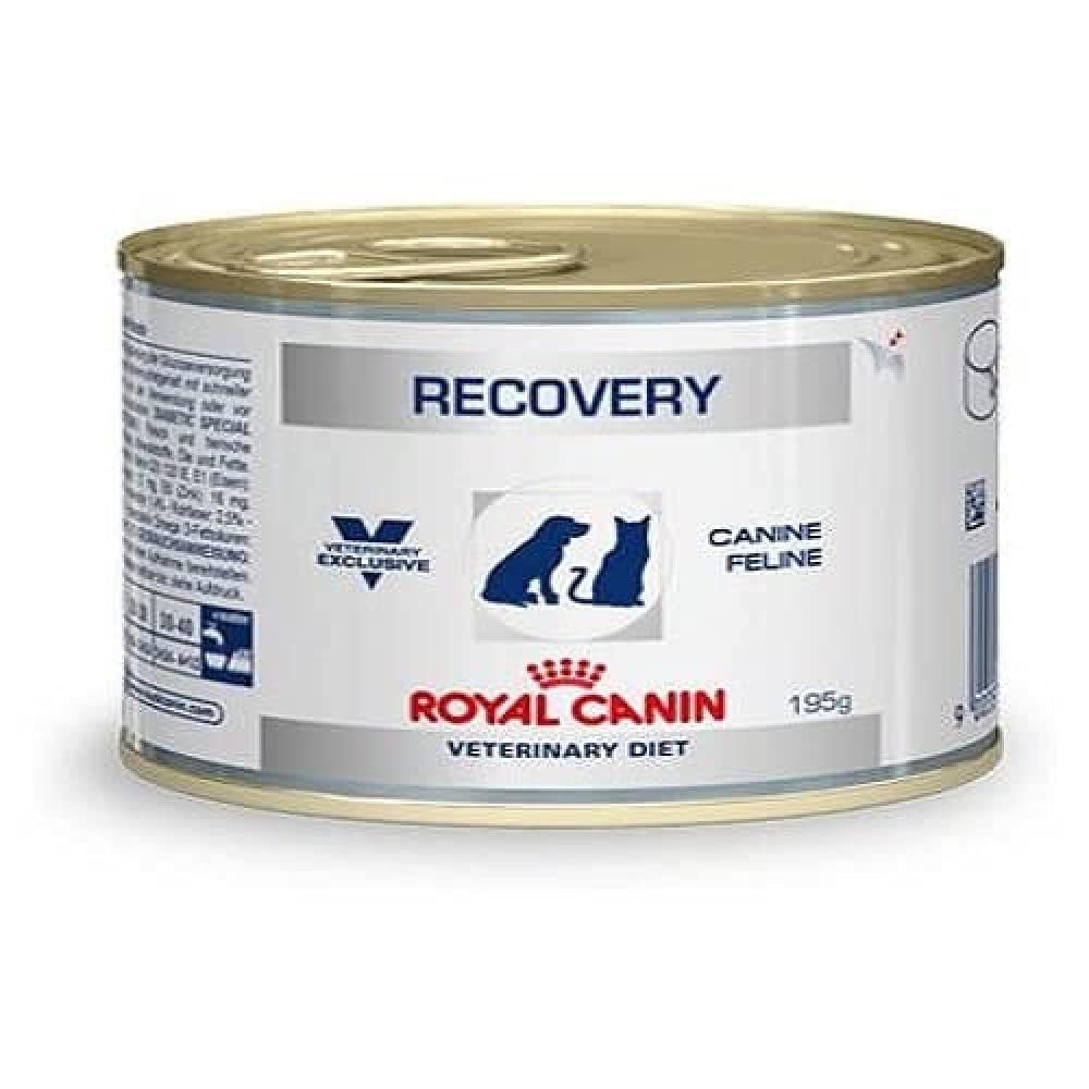 Royal canin recovery dog food online