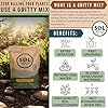 Amazon.com : Sol Soils Gritty Cactus Soil Potting Mix - Fast Draining and Peat Moss Free with ...