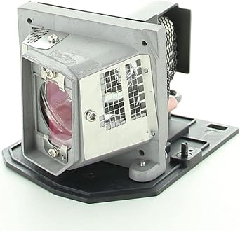 Amazon.com: EC.J5600.001 Original Genuine Projector Lamp Bulb with ...