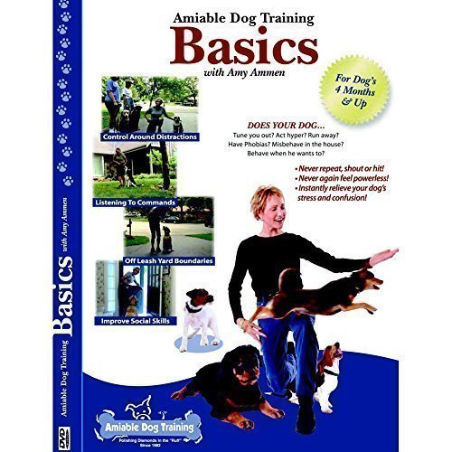 Amazon.com: Amiable Dog Training Basics with Amy Ammen; Puppy Training ...