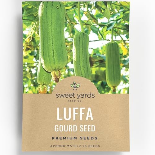 Amazon.com : Luffa Gourd - Large 2,500mg Envelope - 25 Flower Seeds for ...