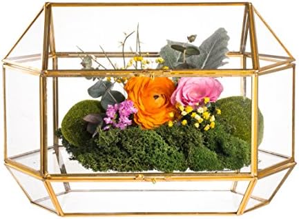 Amazon.com: NCYP 12.8" x 6.9" x 9" Double-sided Opening Geometric Glass ...