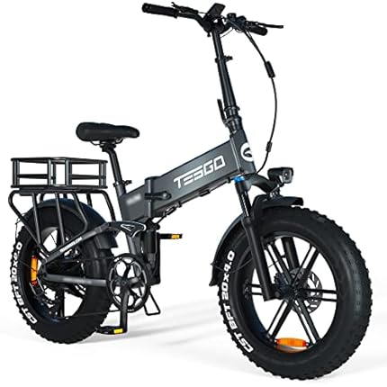 The 25 Best TESGO Electric Bicycles of 2023 [Verified] - Cherry Picks
