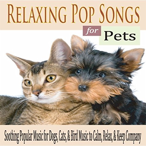 Relaxing Pop Songs For Pets Soothing Popular Music For Dogs Cats relaxing-pop-songs-for-pets-soothing-popular-music-for-dogs-cats