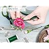 Amazon.com: Royal Imports Floral Tape Green, Flower Stem Wrap Adhesive ...