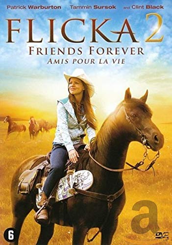 Amazon.com: Flicka 2 (2010) DVD : Movies & TV