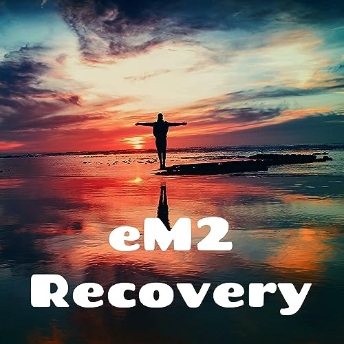 eM2 Recovery : Hamilton Key Jr Recovery Navigator CBLC: Amazon.in: Audible Books & Originals