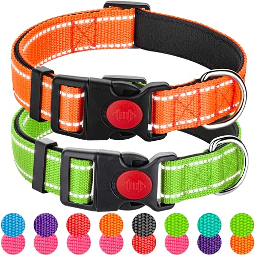 Coolest Dog Collars – The 15 best products compared - Wild Explained