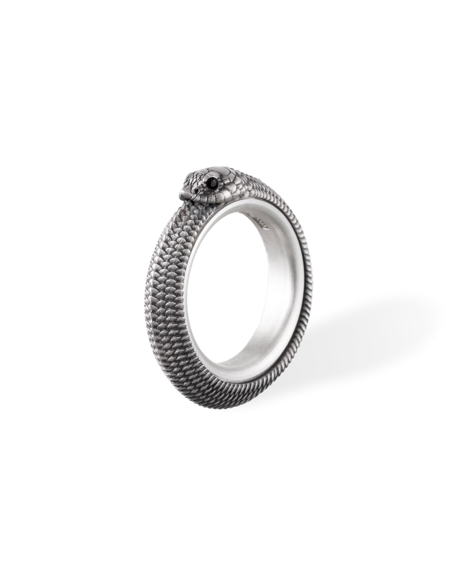 COPPERTIST.WU Ouroboros Spin Ring 925 Sterling Silver Anxiety Rings ...