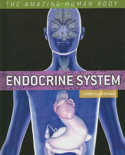 Amazon.com: Endocrine System (The Amazing Human Body): 9780761430551 ...
