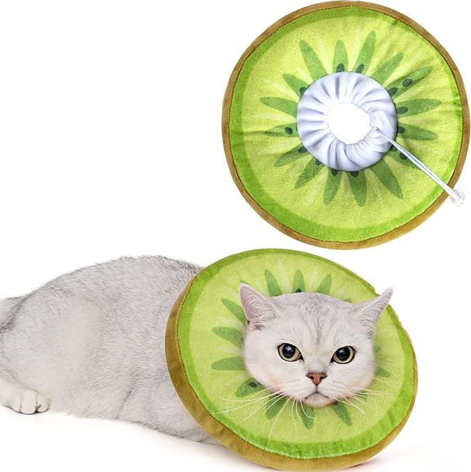 KUTKUT Adjustable Kitten Cone Collar, Adjustable Recovery E-Collar, Cat ...