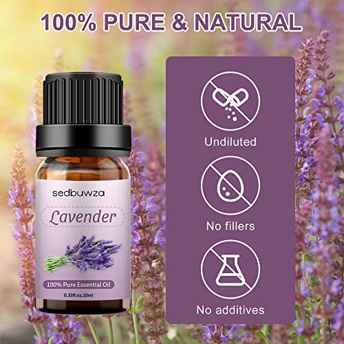 Snapklik.com : Lavender Essential Oil, 100% Pure Organic Lavender ...
