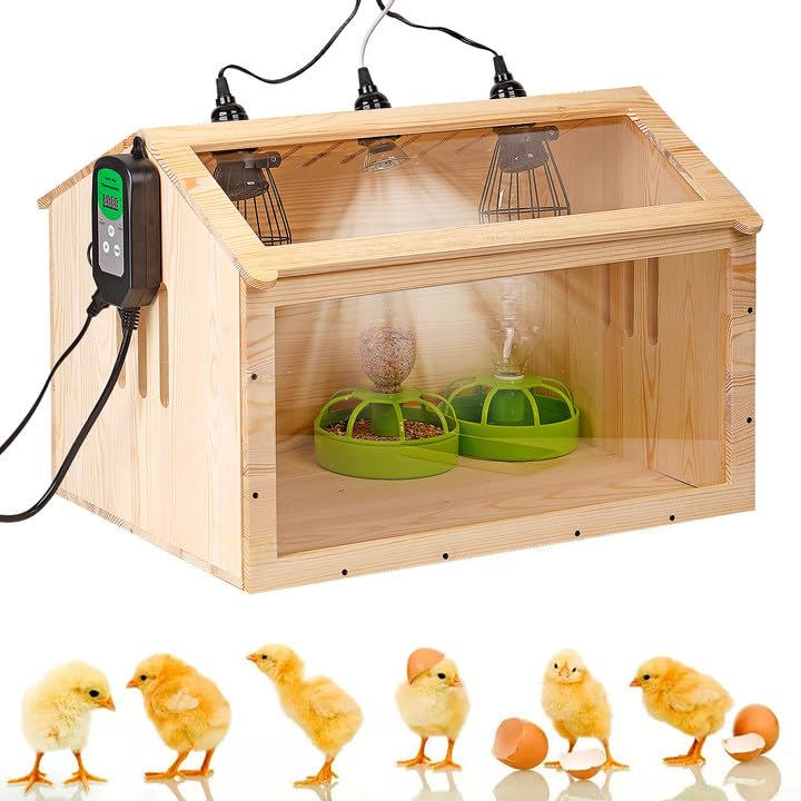 Amazon.com: Chicken Brooder Box for Chicks Brooder Box with Thermostat ...