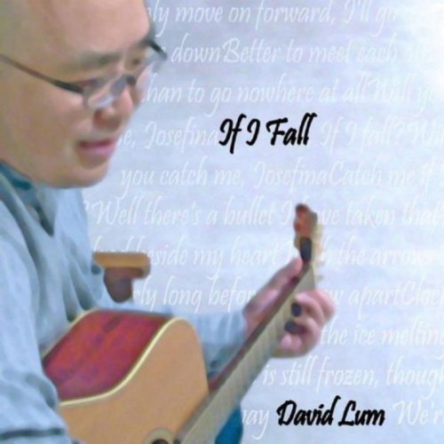 Amazon.com: If I Fall : David Lum: Digital Music