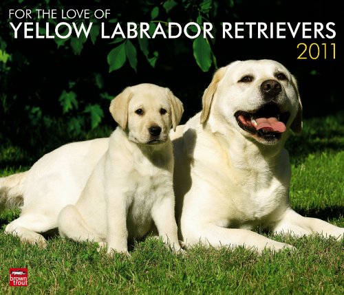 For the Love of Yellow Labrador Retrievers 2011 Calendar: BrownTrout ...
