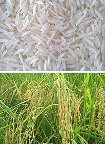 VS Products Sona Masoori Rice, 3.950 kg, Jeela Karra Masuri Rice, Samba ...