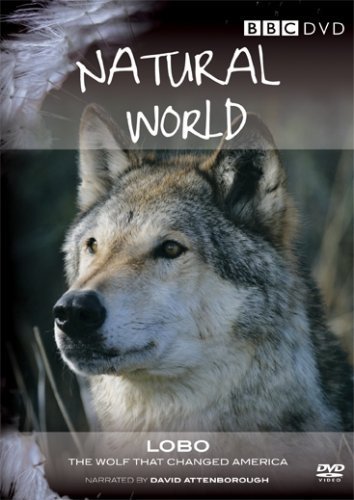 Amazon.com: Natural World - Lobo: The Wolf that Changed America [DVD ...