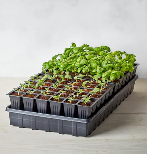 Burpee Self-Watering Seed Starter Tray, 72 Cells | Gardentia