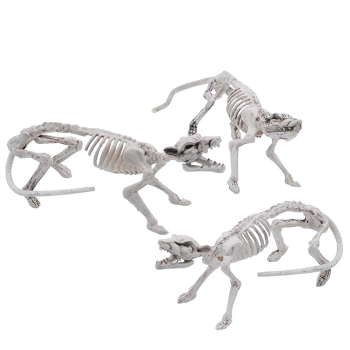 Skeleton Rat Decoration at John Keys blog