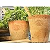 Amazon.com: Esschert Design AT01 Aged Terracotta Round Pots (Set of 3 ...
