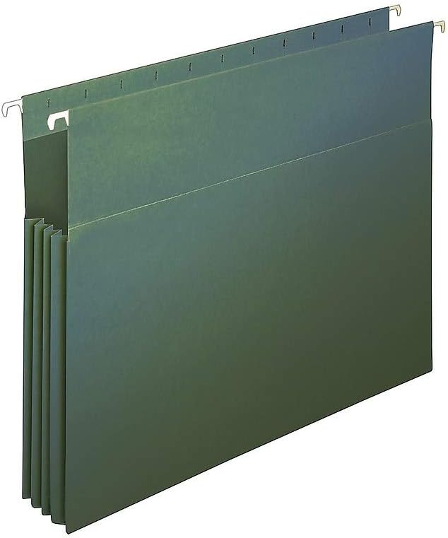 Amazon.com : Staples Poly Expanding Hanging File Pockets, Letter ...