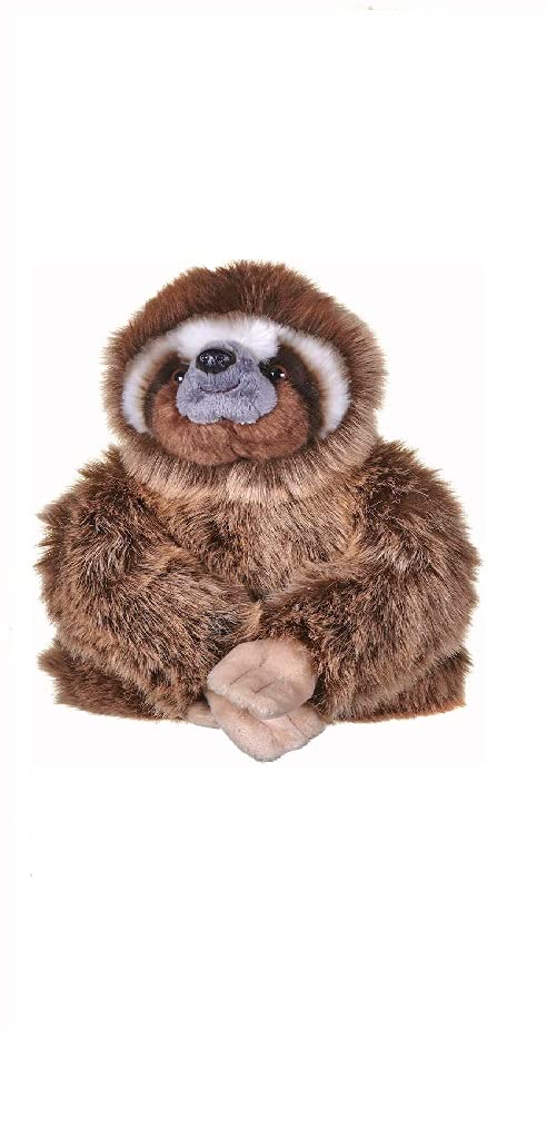 Posh Paws 12450 II Sloth BBC Planet Earth, Plush Soft Toy, Brown, 25CM ...