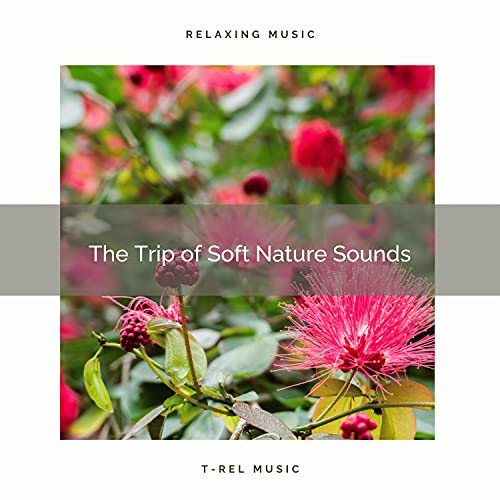 Spiele ! ! ! ! ! ! ! ! ! ! The Trip of Soft Nature Sounds von Nature ...