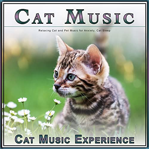 Play Cat Music: Relaxing Cat and Pet Music for Anxiety, Cat Sleep by ...