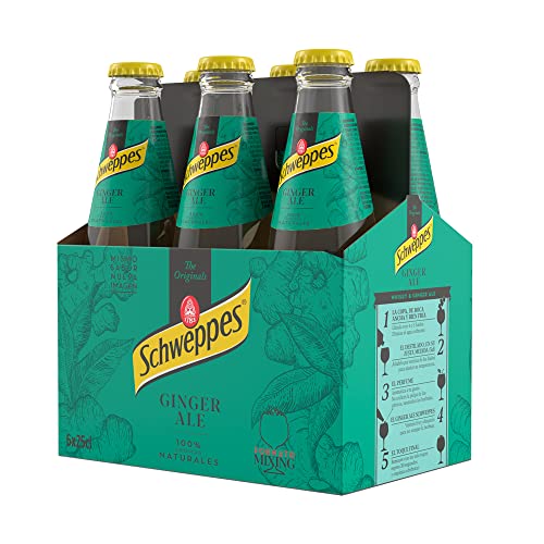 Ginger Ale y Ginger Beer: Todo lo que debes saber sobre el refresco de ...