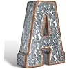 Amazon.com: CraftyCrocodile 7" Galvanized Metal Letters for Wall Decor ...