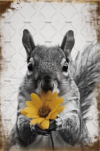 Amazon.com: Retro Metal Tin Sign Squirrel Poster Once Upon A Time There ...