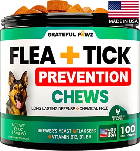 Top 10 Tick Chewable For Dogs of 2022 - Katynel
