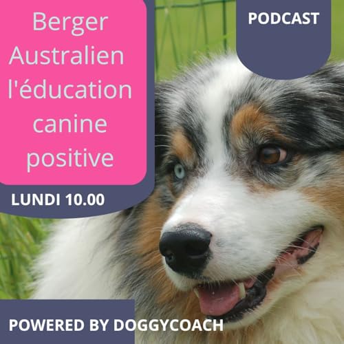 Berger Australien l'éducation canine positive : Patrick Aufroy ...