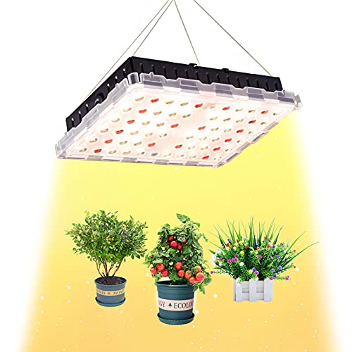 Mars Hydro 300W LED Grow Light Review: Things You should know before ...