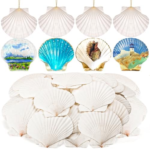 Amazon.com: 10PCS Large Natural Scallop Shells, 4''-5'' Large Shell for ...