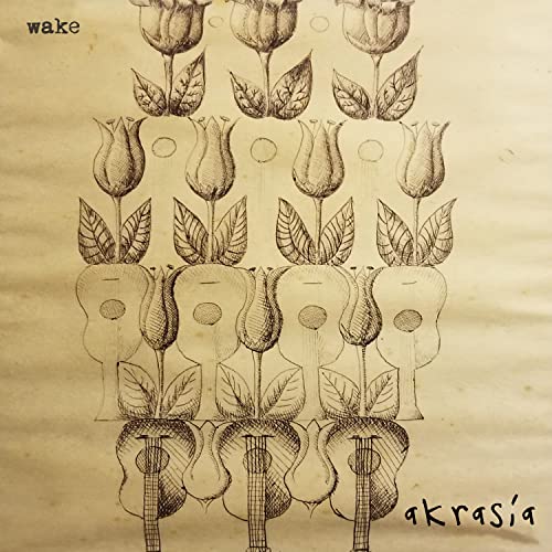 Amazon.com: Wake : Akrasia: Digital Music