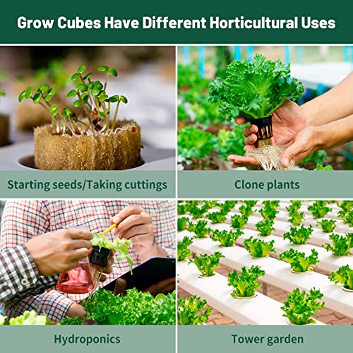 Jowlawn Rockwool Cubes for Hydroponics, Rockwool Grow Cubes for Rooting ...