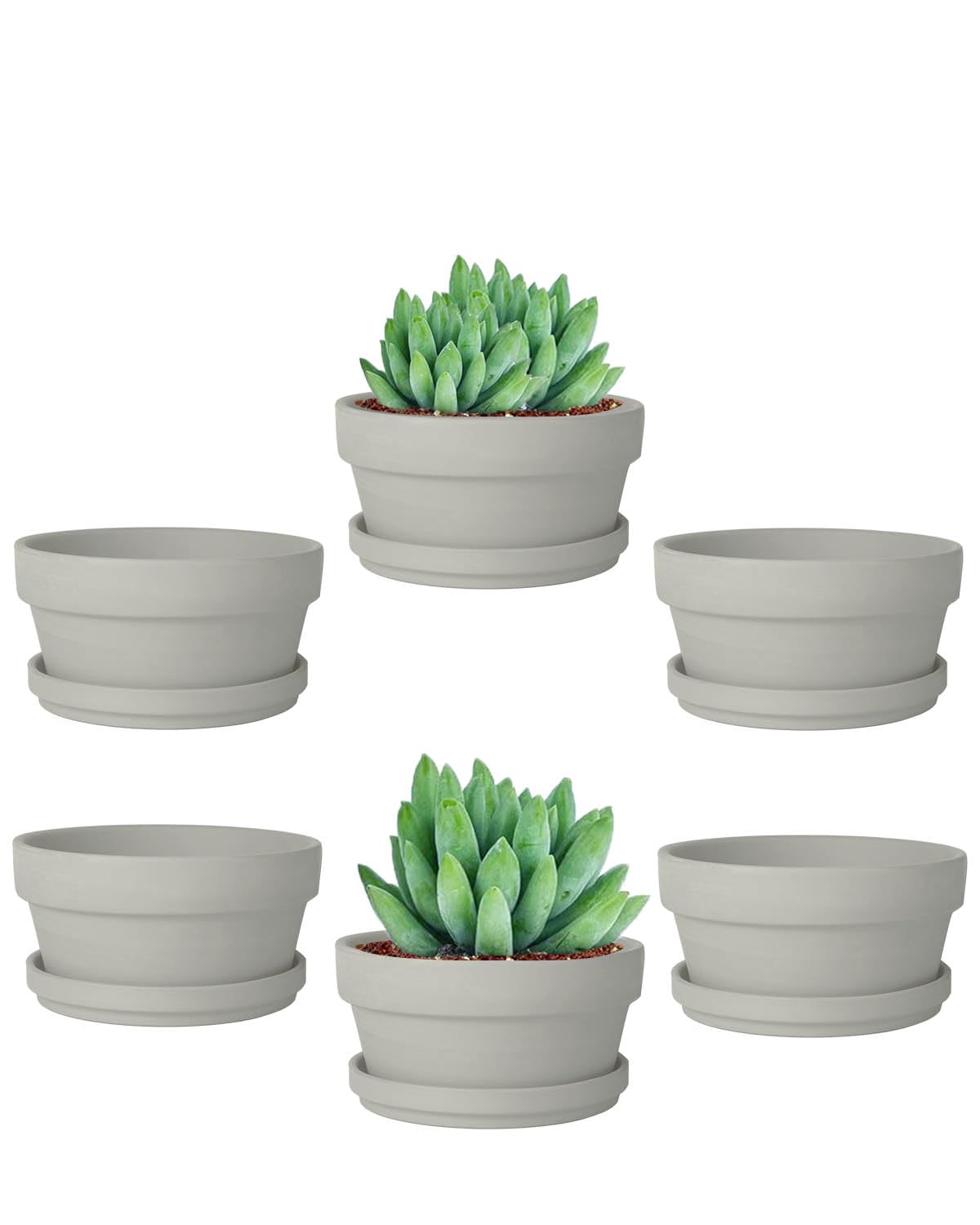 Snapklik.com : Vensovo 4.5 Inch Grey Terracotta Shallow Succulent Pots ...