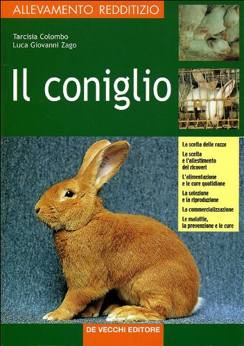 Il coniglio: Colombo, Tarcisia, Zago, Luca G.: 9788841276457: Amazon ...
