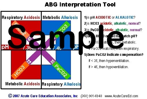 ABG Interpretation Tool: Diane L. Paulson: Amazon.com: Books