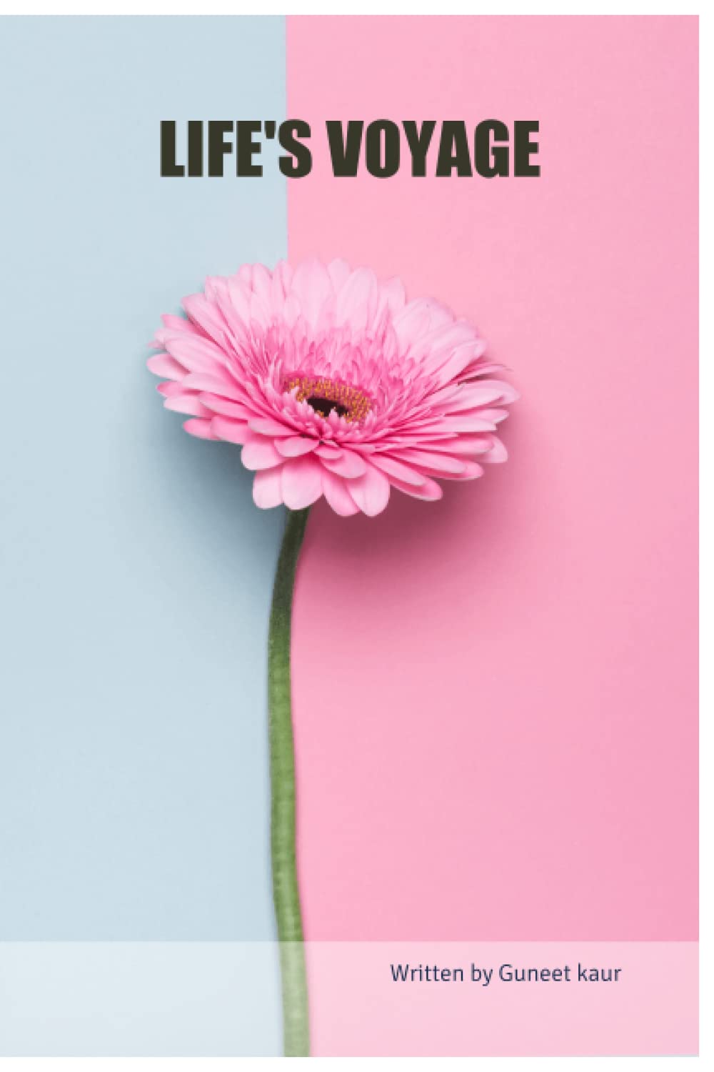 LIFE'S VOYAGE: kaur, Guneet: 9789357654166: Amazon.com: Books