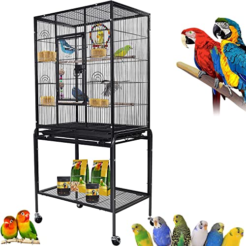 amazon.ae Best Sellers: The best items in Pet Bird Supplies based on ...