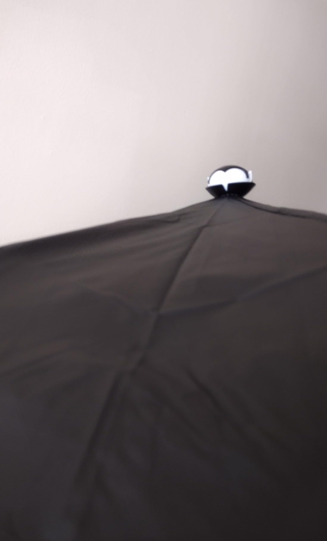Amazon.com: OTOTO NEW! Spookula Vampire Umbrella Unique Umbrella ...