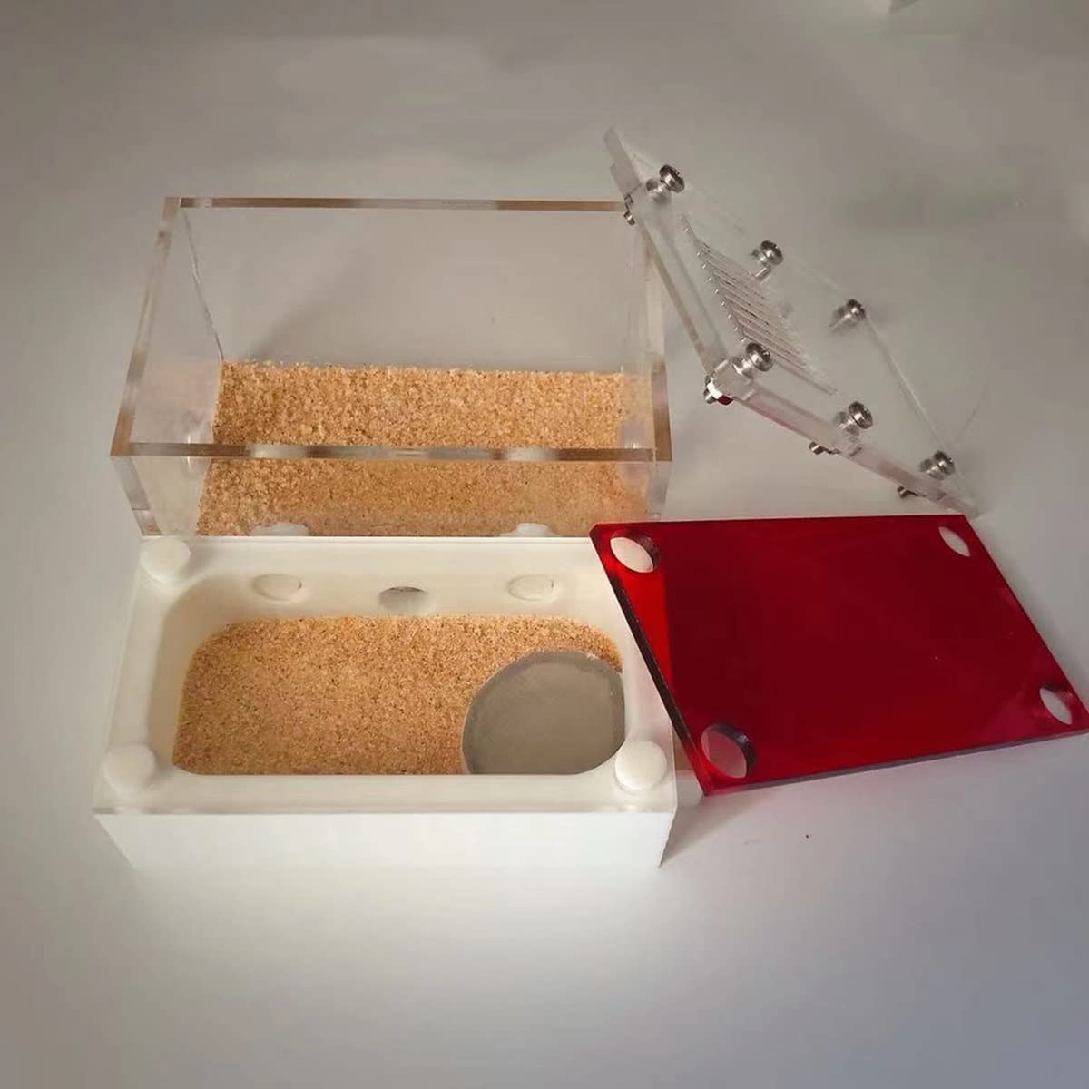 Hrtc Ecology Gypsum Ant Castle Clear Ant Farm Fun Ant | Desertcart INDIA