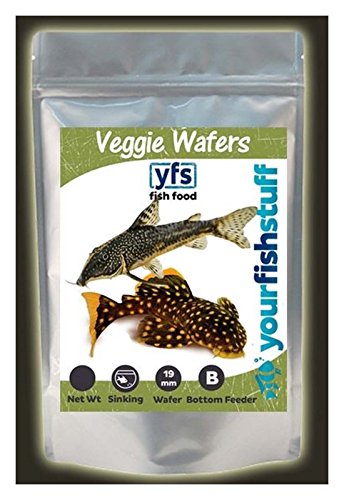 Snapklik.com : Spirulina Veggie Algae Wafers Pleco Catfish Tropical ...